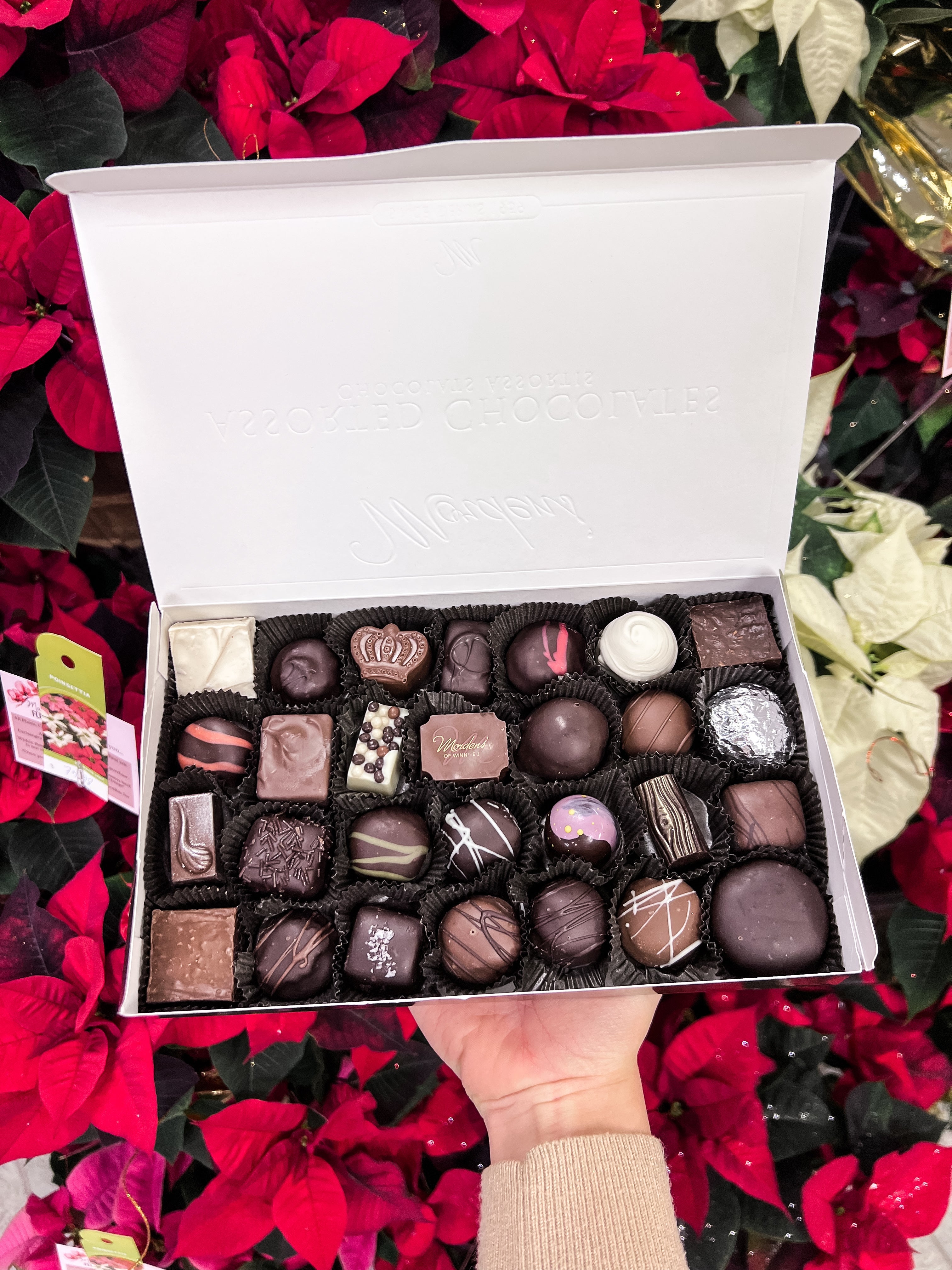 Mordens Chocolate Of Winnipeg – Macyks Florist